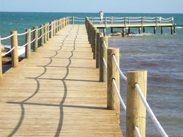 Pilotes de madera: características, especies, durabilidad y más ...