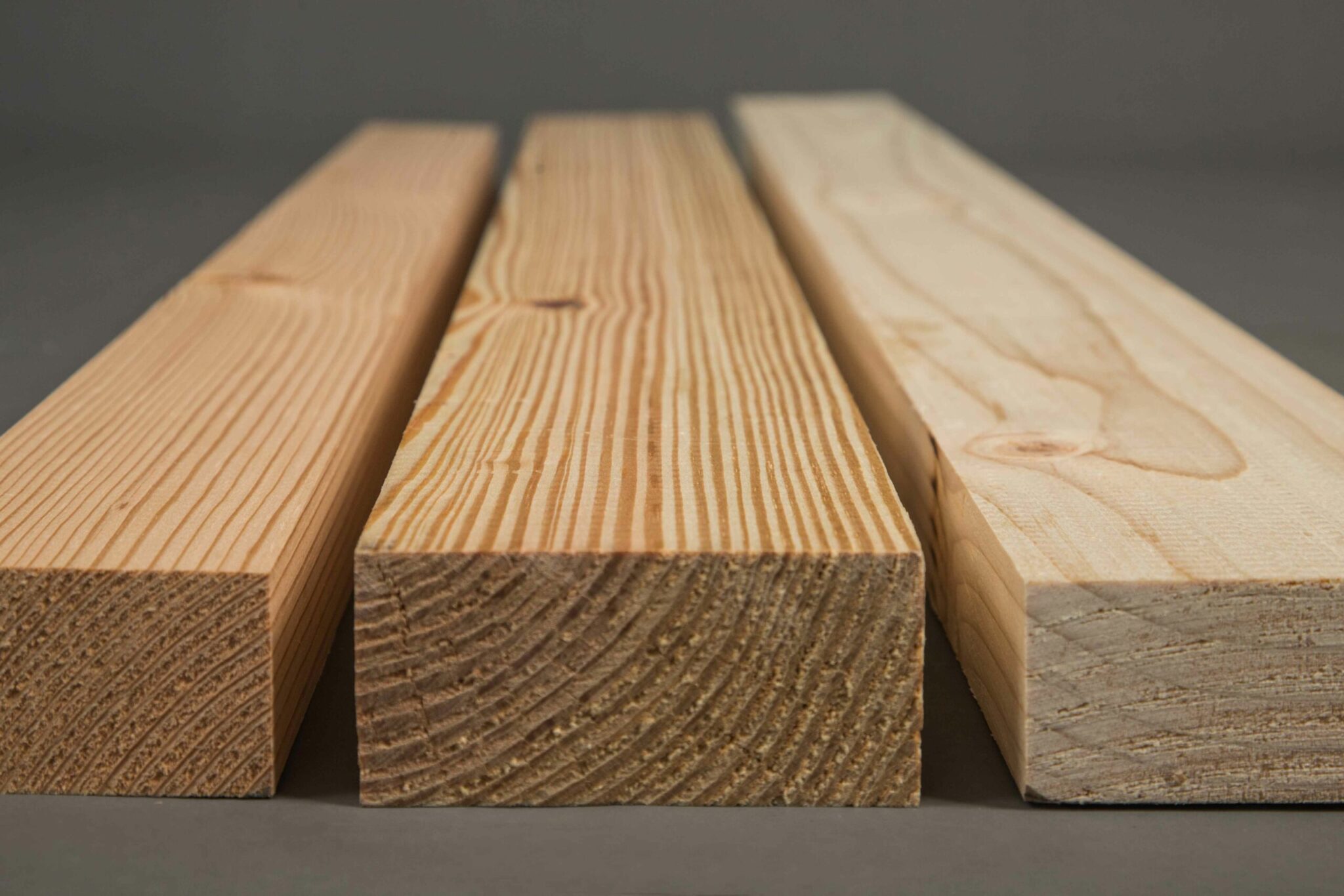 Partes de la madera: Composición y funciones - Maderas para Exterior