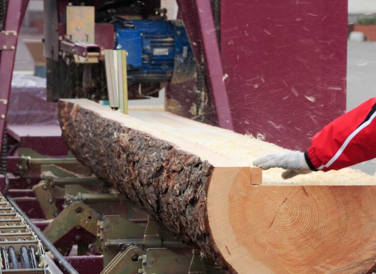 Aserrado de madera: La guía más completa de la web - Maderas para Exterior