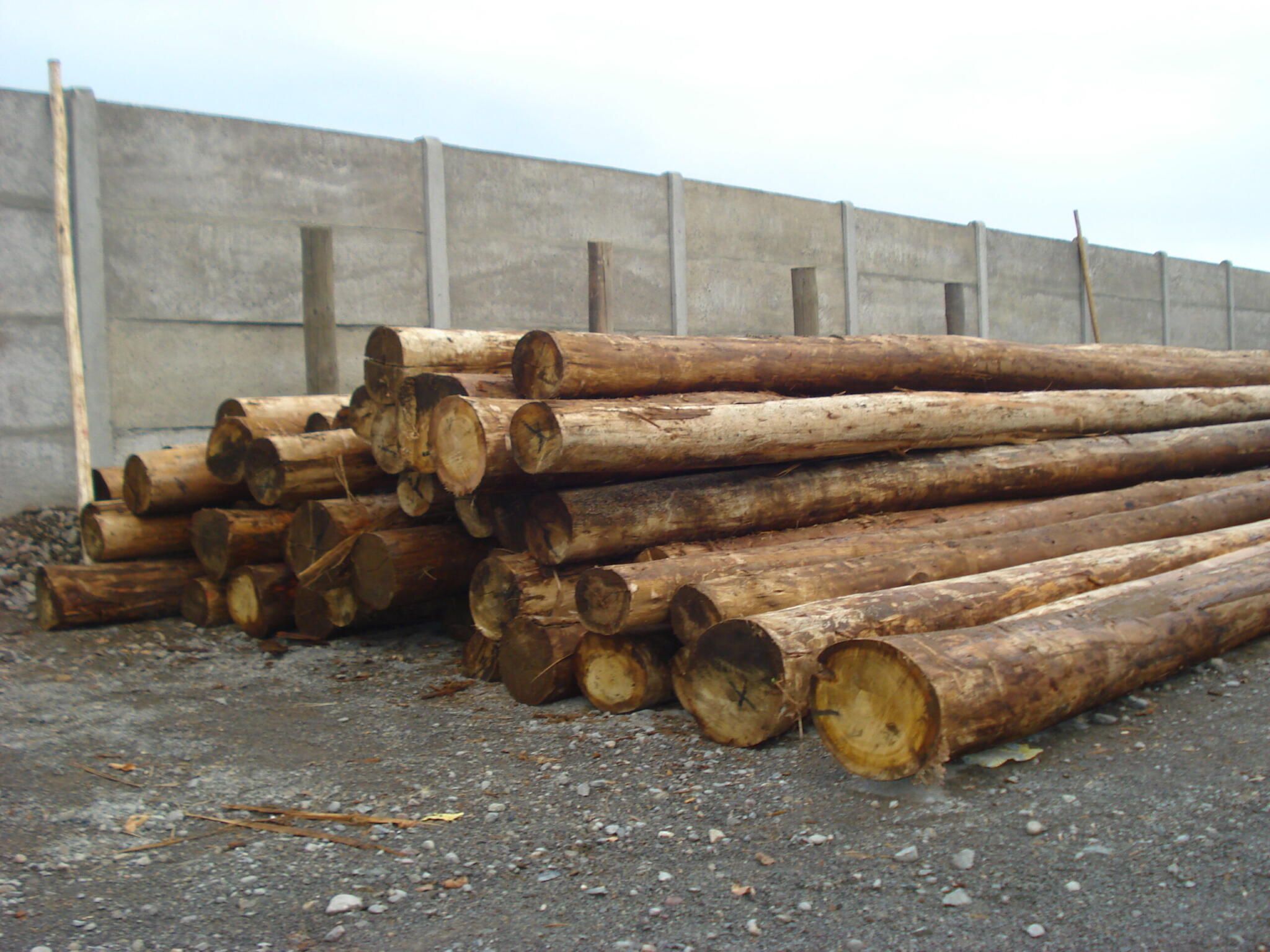 Postes o rollizos de madera: Tipos, medidas y más - Maderas para Exterior